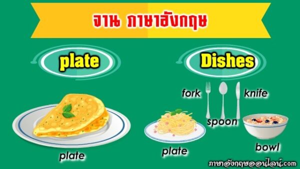 จาน ภาษาอังกฤษคืออะไร แล้ว Dish กับ Plate มันเป็นจานที่แตกต่างกัน ...
